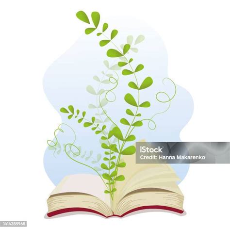 책과 귀여운 아름다운 요정 책 애호가를위한 멋진 일러스트 레이 션 공부에 대한 스톡 벡터 아트 및 기타 이미지 공부 공주 교육 Istock