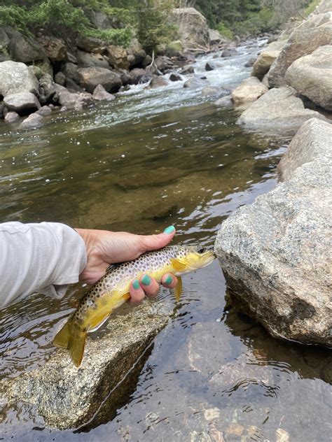 17 Best Umrswednesday Images On Pholder Tattoos Knitting And