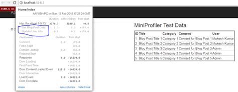 Performance Check With Miniprofiler In Aspnet Mvc