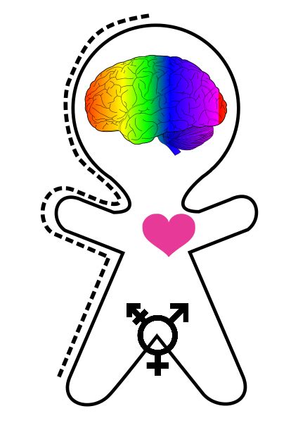 SpiderMonkeyTales The Science Of Sex Differences It S Complicated And Biased