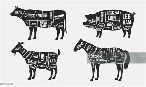 고기 다이어그램 세트입니다 고기 컷 쇠고기 염소 돼지고기 말 실루엣 식료품점 정육점 고기 가게를 위한 빈티지 포스터 벡터 그림 고기에 대한 스톡 벡터 아트 및 기타 이미지