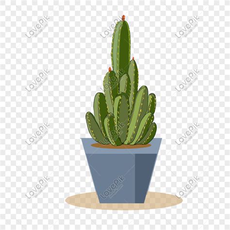 봄 손으로 그린 식물 선인장 클러스터 화분 Png 일러스트 무료 다운로드 Lovepik