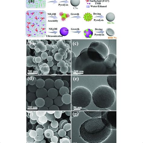 A Schematic Illustration For The Fabrication Procedure Of Cns Download Scientific Diagram