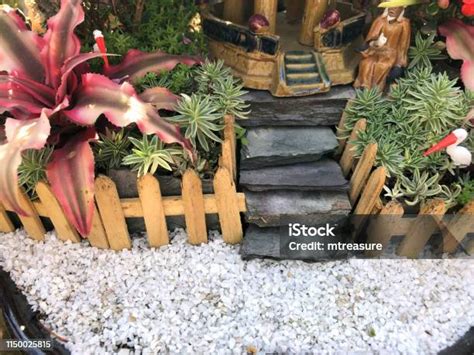 얕은 분재 냄비 쟁반 접시에 어린이를 위한 미니어처 정원 풍경의 이미지 꽃 고산 식물 다 육 식물 선인장 자갈 인형 집 장식품 미니 정원 울타리 단계 작은 슬레이트 돌 야외