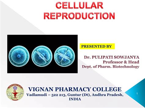 Cellular Reproduction Pptx