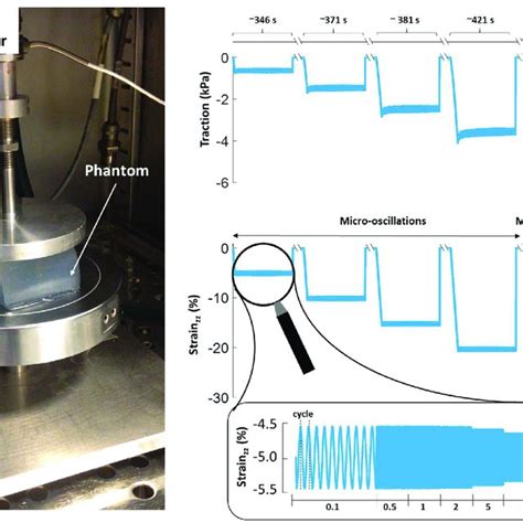 Viscoelastic Characterisation Of Plastisol Material The Experimental Download Scientific