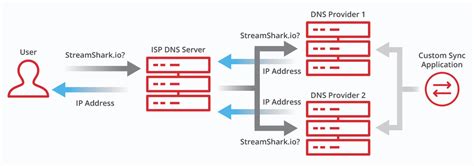 Dns Chart Ponasa