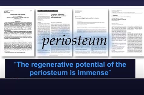 Unlocking The Potential Of Modern Synthetic Bone Graft Materials Ethoss Dental