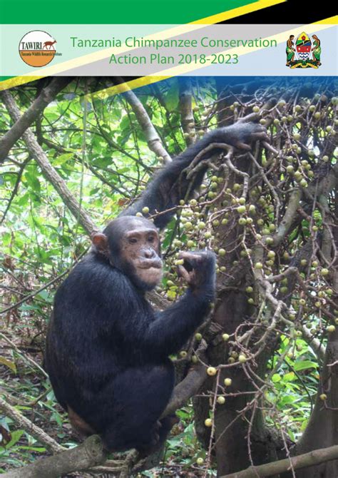 Pdf Tanzania Chimpanzee Conservation Action Plan 2018