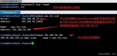 linux网络第三章：dns服务器原理及搭建 linux 搭建dns服务器 csdn博客