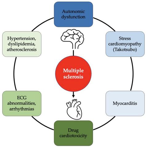 Multiple Sclerosis Patient