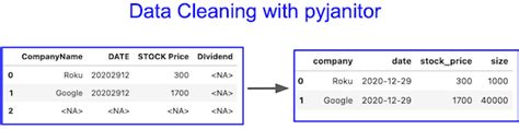 Introduction To Data Cleaning With Pyjanitor Python And R Tips