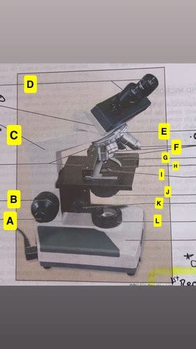 Biology Lab Practical Flashcards Quizlet