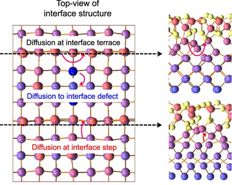 Schematic Diagram Showing Typical Diffusion Processes At The Interface