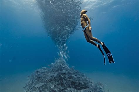 Freediving Wallpapers 4k Hd Backgrounds On Wallpaperbat