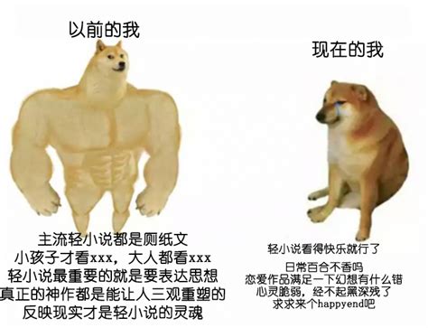 为了感谢soro的帮忙 卡特 Kater