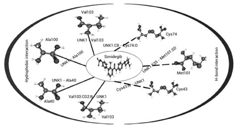 Interaction Amino Acid Residues Of Mstn With Sonidegib Through H Bond