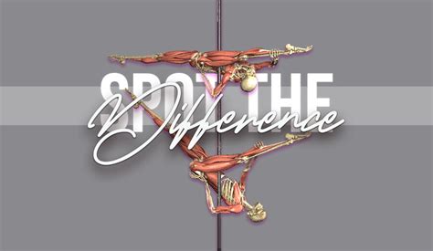 Jade Lines The Pole Pt