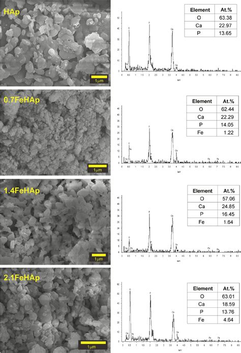 sem micrographs and edx analysis reports of the pure hap and fe doped
