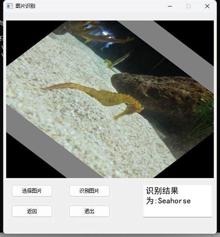 基于python CNN卷积神经网络的海洋生物识别 含数据集 pyqt界面 CSDN博客