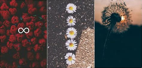 60 ภาพพื้นหลัง วอลเปเปอร์มือถือสวยๆ สไตล์ฮิปสเตอร์ Ladyissue เว็บรีวิวเครื่องสำอาง ชุมชน