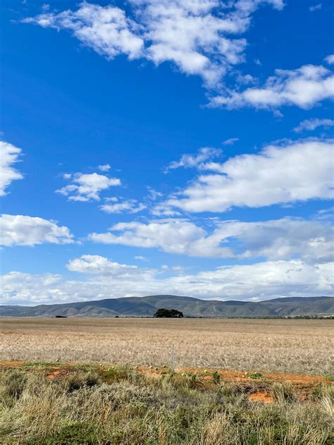 호주 로드트립 다녀오느라 글을 못 올렸습니다