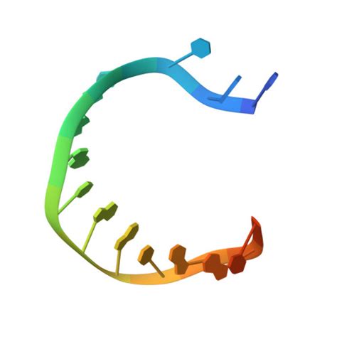 Rcsb Pdb 8e24 Human Dna Polymerase Theta In Complex With Allosteric Inhibitor