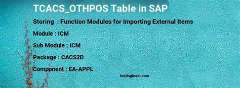 TCACS OTHPOS SAP Table For Function Modules For Importing External Items