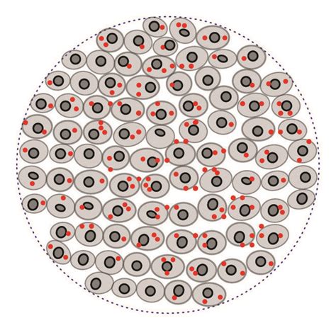 Schematic Description Of The Comparison Of Number Of Cells Accommodated