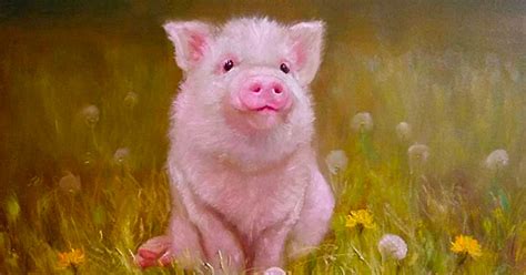 ២០២៣ ឆ្នាំទាំង ៤ ទទួលបានលាភសំណាង សុភមង្គលច្រើនជាងទុក្ខសោក ចាប់ពីដើមឆ្នាំរហូតដល់ចុងឆ្នាំ Knongsrok