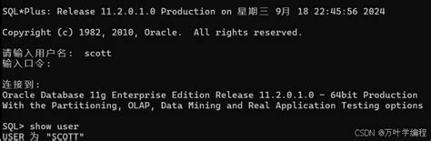 Oracle数据库安装与sqlplus使用sqlplus安装教程及配置 Csdn博客