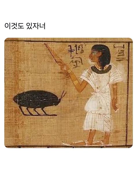 이집트 상형문자를 몰라도 알 수 있는 위기 상황 꽃비 파트너스