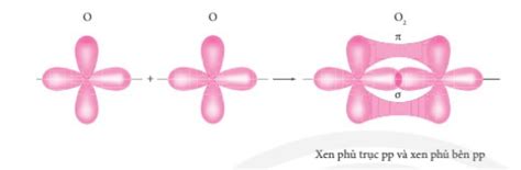 Sự Xen Phủ Có Sự Tham Gia Của Orbital Nào Luôn Là Xen Phủ Trục