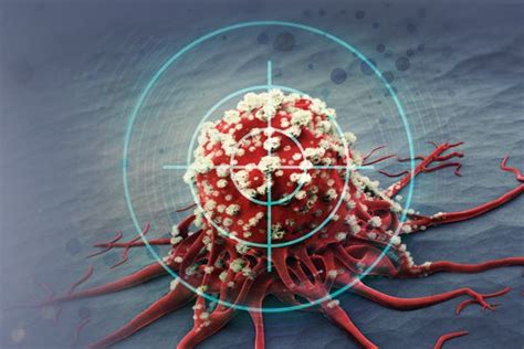 Prime® Accelerating Precision Oncology In Solid Tumors