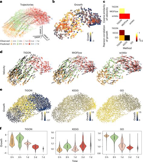 Comparisons Of Tigon With Trajectory Inference Or Growth Inference Download Scientific Diagram