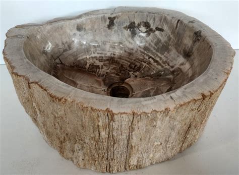 Waskom Fossiel Hout Wasbak Online Veiling Catawiki