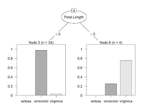 Decision Tree Algorithm Using Iris Data Set