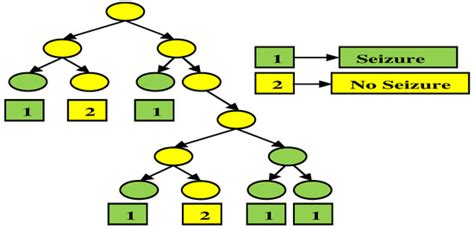 Epileptic Seizure Prediction Based On Hybrid Seek Optimization Tuned Ensemble Classifier Using