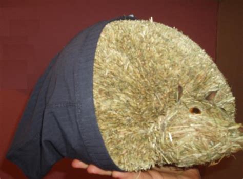 Таралеж в гащите Полезните неща