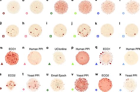 Dynamic Information Flow In Model And Real Networks We Measured The Download Scientific