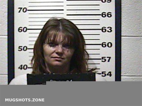 Burleson Ginger Ann 04 13 2023 Dickinson County Mugshots Zone