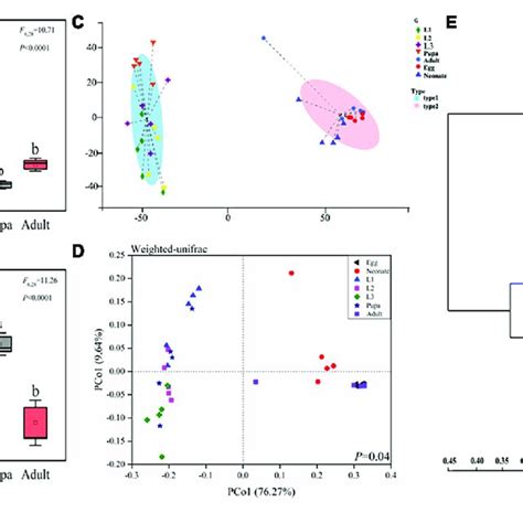 Bacterial Community Dynamics Among Different Developmental Stages In Download Scientific