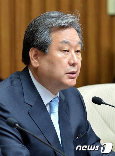 사진 김무성 대표 공무원연금 개혁 가장 시급한 과제 머니투데이