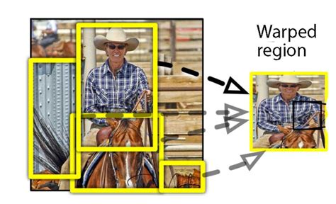 R Cnn Vs Fast R Cnn Vs Faster R Cnn A Comparative Guide