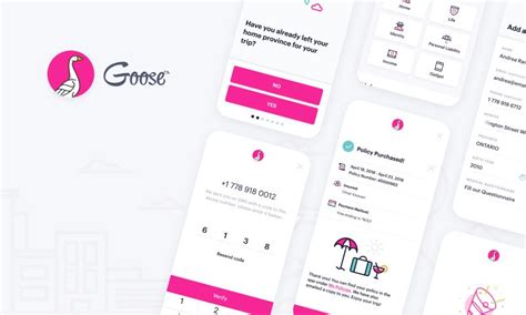 Input Logic Reviews And Clients Designrush