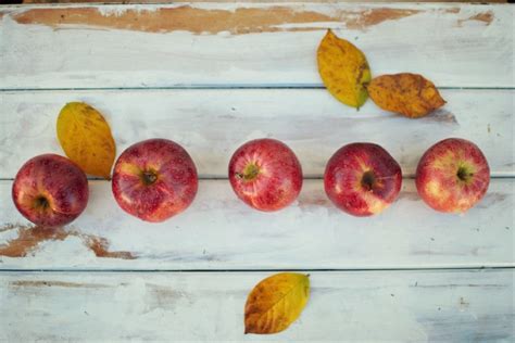 How To Use Auto Layout With Uiscrollview For Ios