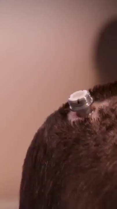 Prerna Koirala On Linkedin Ai Aicommunity Healthcareanalytics Roboticsinnovation