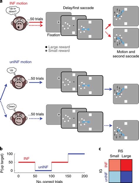 Task Design A Trial Structure All The Trials Had An Identical