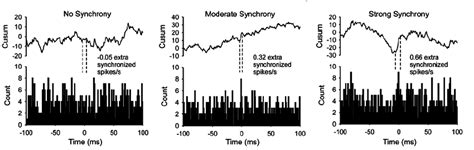 Example Cross ‐ Correlation Histograms Cross ‐ Correlation Histograms