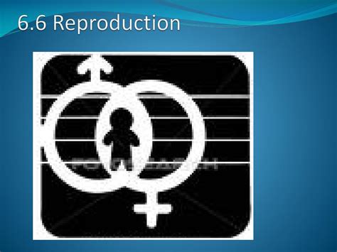 PPT Reproduction PowerPoint Presentation Free Download ID